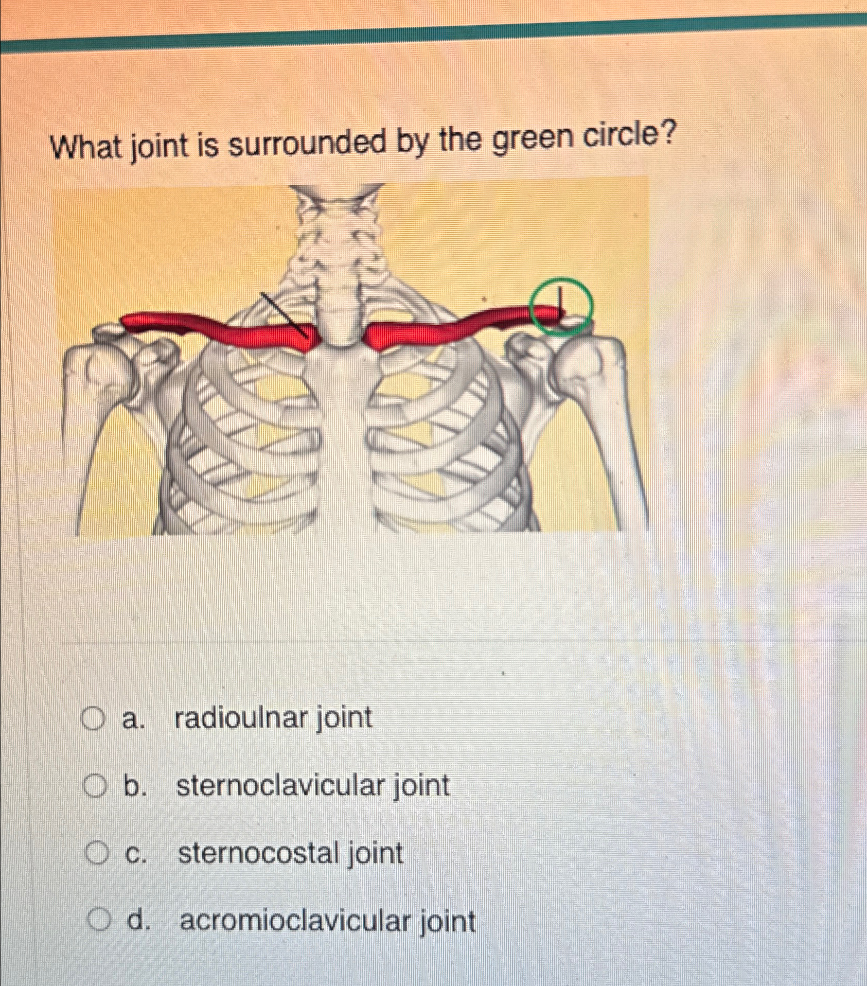 Solved What joint is surrounded by the green circle?a. | Chegg.com