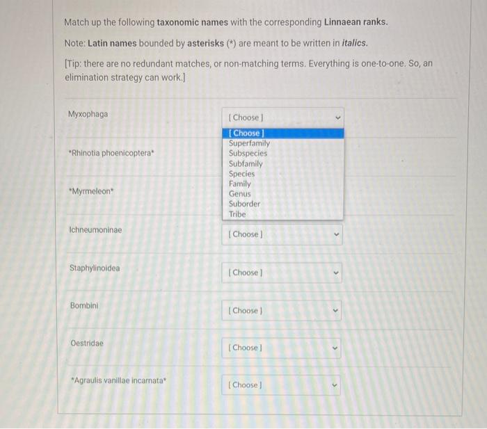 Solved Match up the following taxonomic names with the | Chegg.com