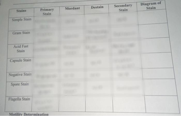 Solved Destain Mordant Diagram of Stain Secondary Stain | Chegg.com