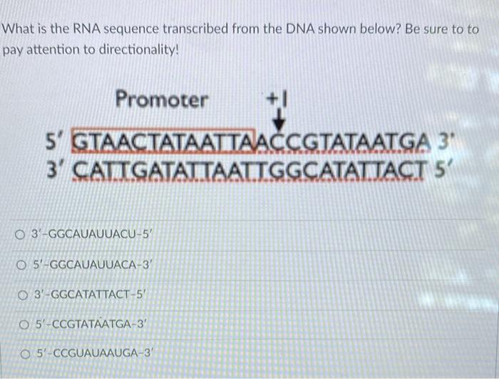 Solved What is the RNA sequence transcribed from the DNA | Chegg.com