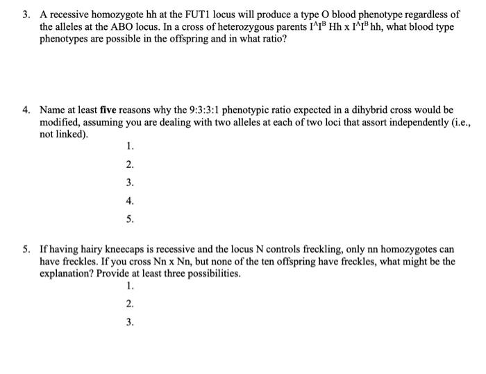 Solved 3. A recessive homozygote hh at the FUT1 locus will | Chegg.com