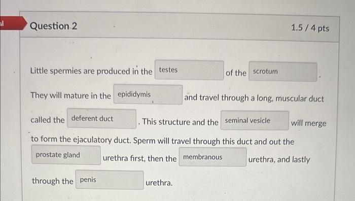 Solved Little spermies are produced in the of the They will | Chegg.com