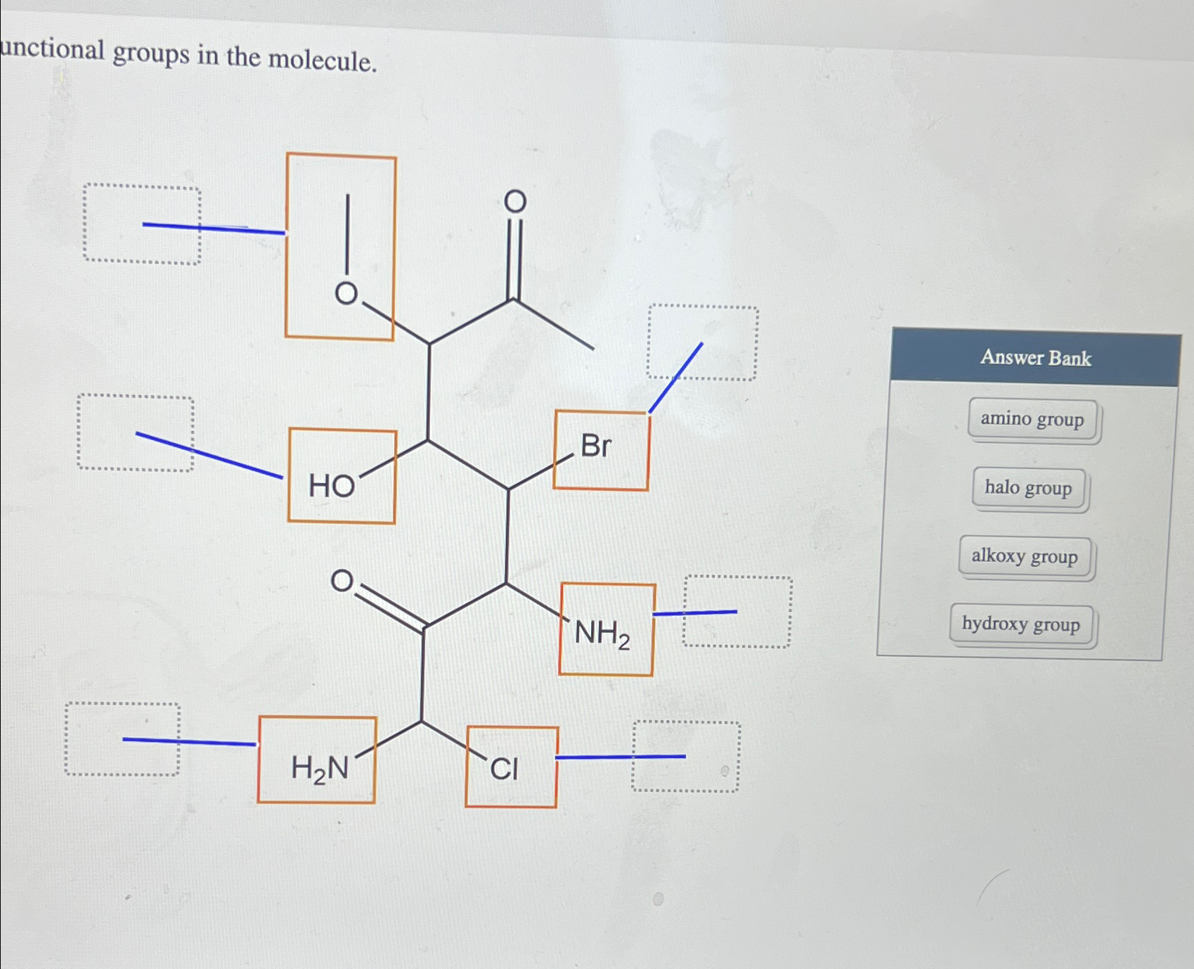 Solved unctional groups in the molecule.Answer Bank amino | Chegg.com