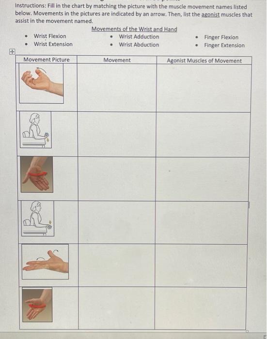 Solved Instructions: Fill in the chart by matching the | Chegg.com
