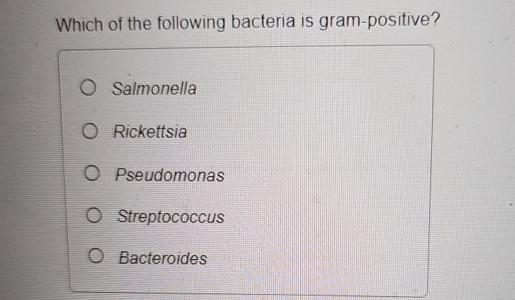 Solved Which of the following bacteria is | Chegg.com