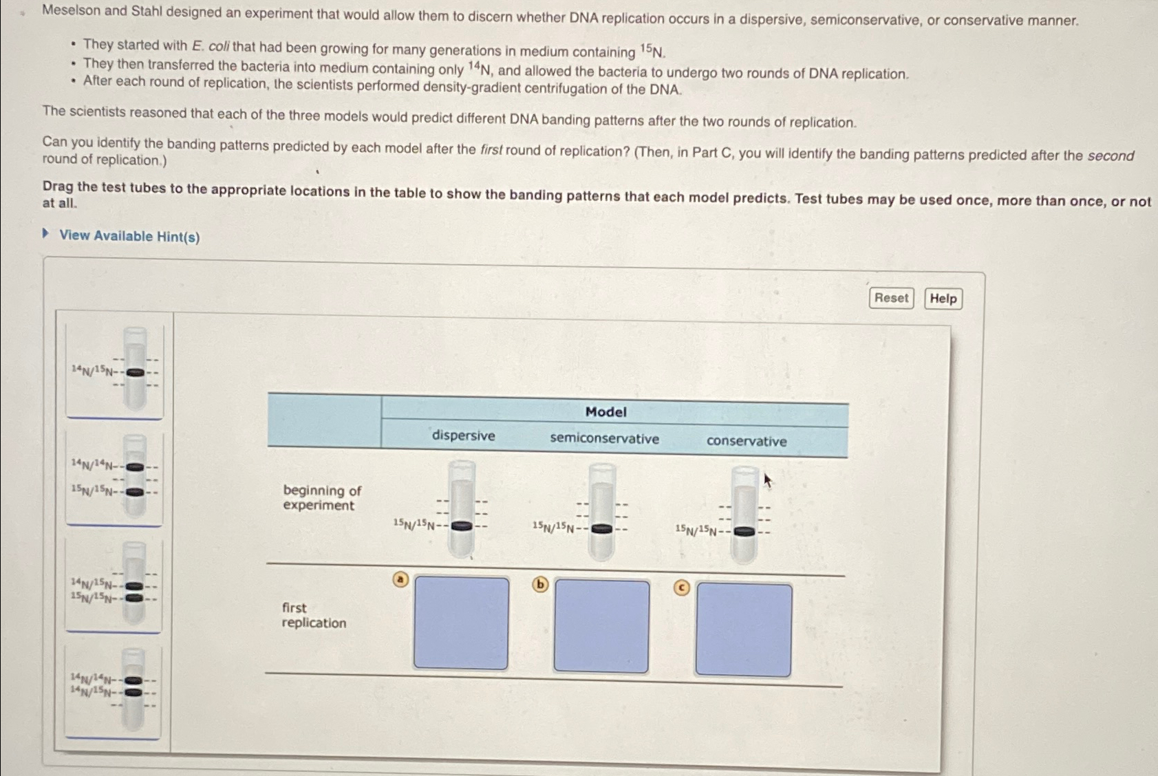 Solved Meselson and Stahl designed an experiment that would | Chegg.com