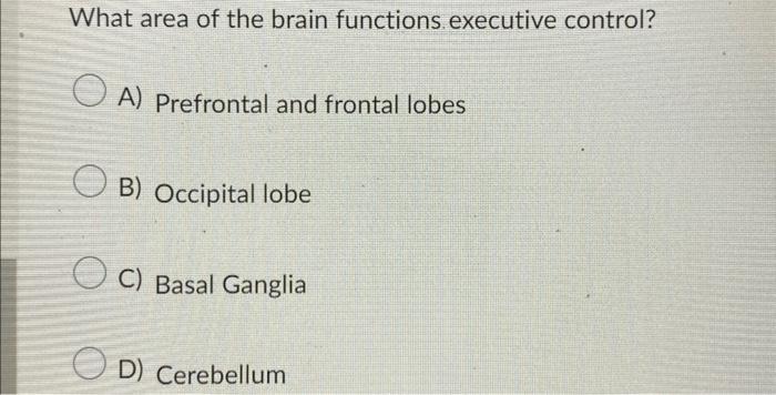 Solved What area of the brain functions executive control? | Chegg.com