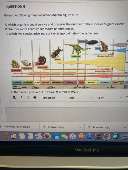 Solved QUESTION 6 Given the following mass extinction | Chegg.com