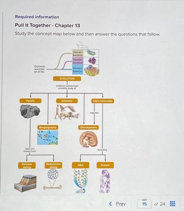 Solved Required information Pull It Together - Chapter 13 | Chegg.com