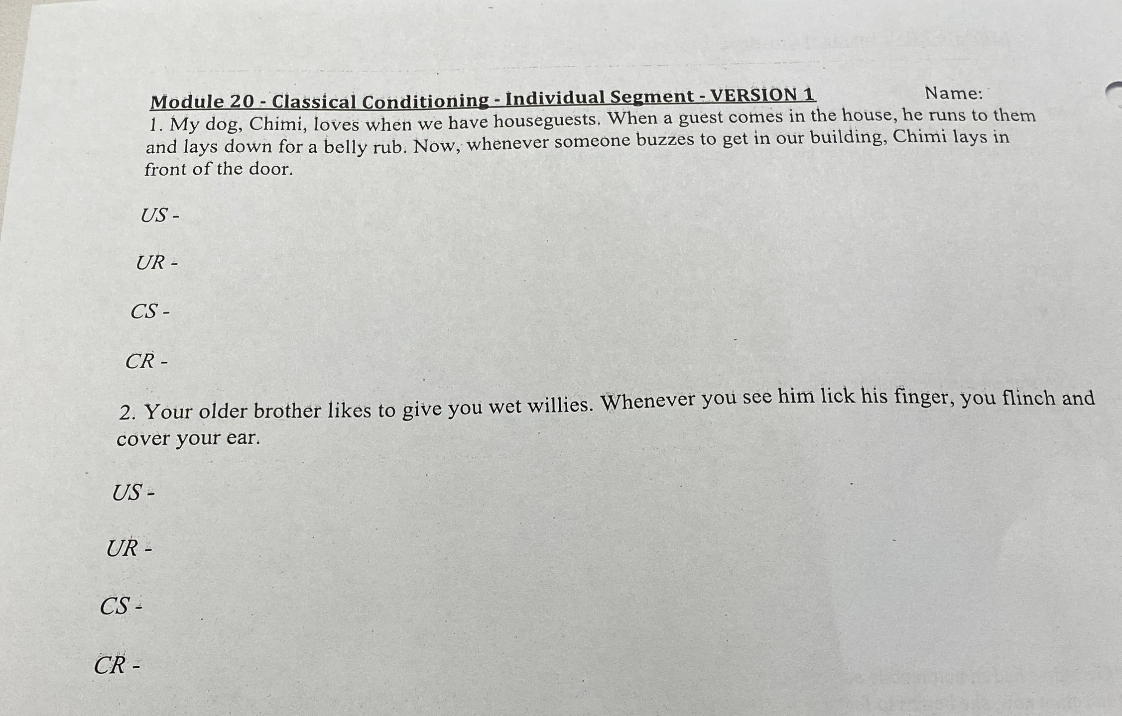 Solved Module 20 - ﻿Classical Conditioning - ﻿Individual | Chegg.com