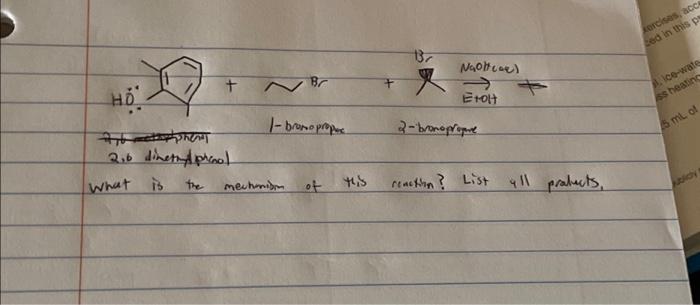 Solved Given the reaction of 2,6 dimethylphenol, aqueous | Chegg.com