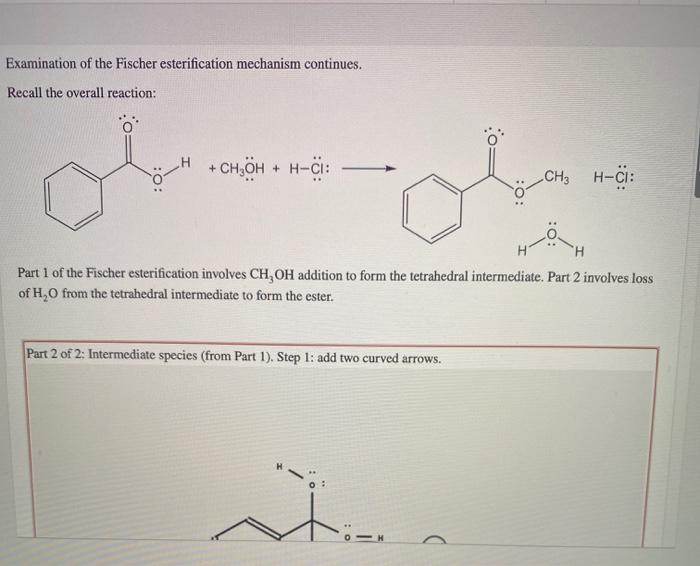 Solved Examination of the Fischer esterification mechanism | Chegg.com