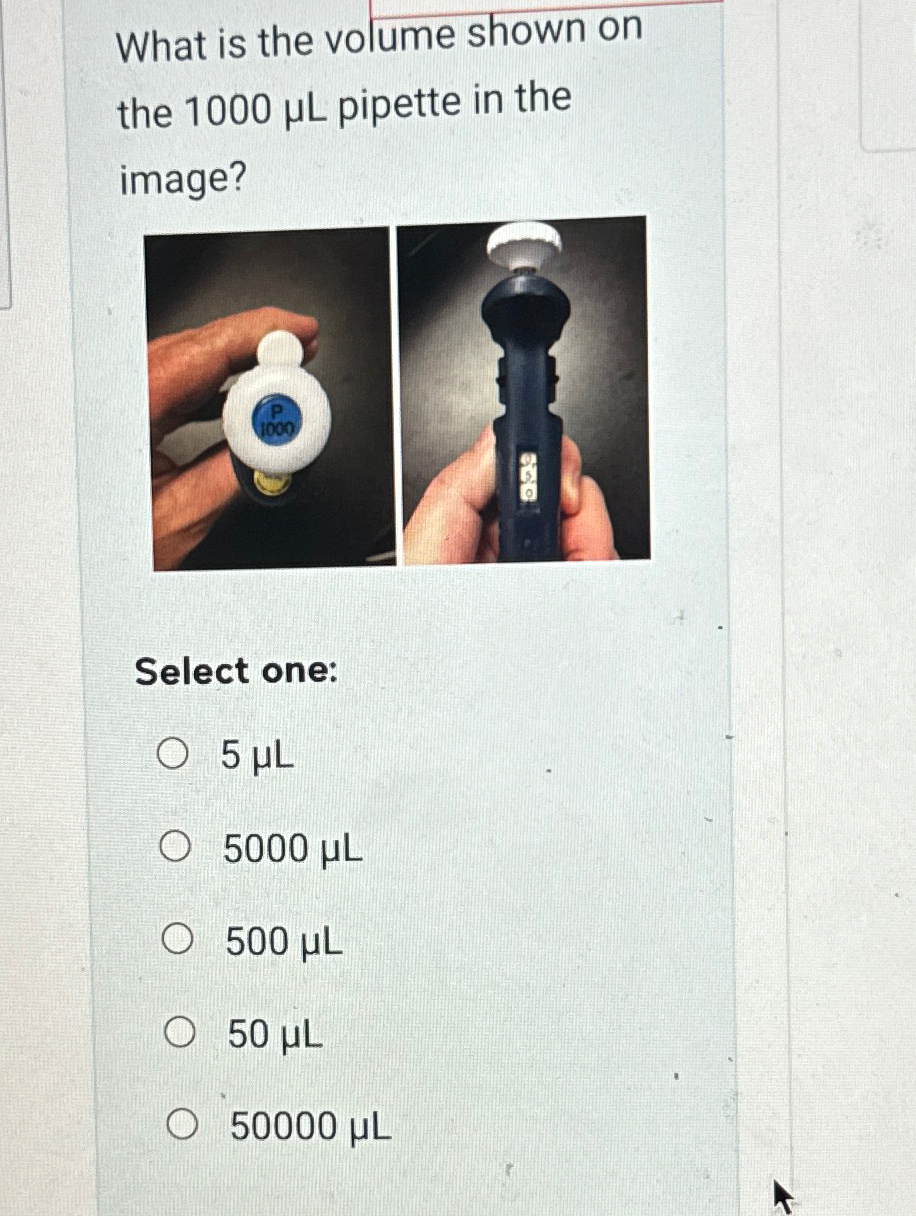 Solved What is the volume shown on the 1000μL ﻿pipette in | Chegg.com