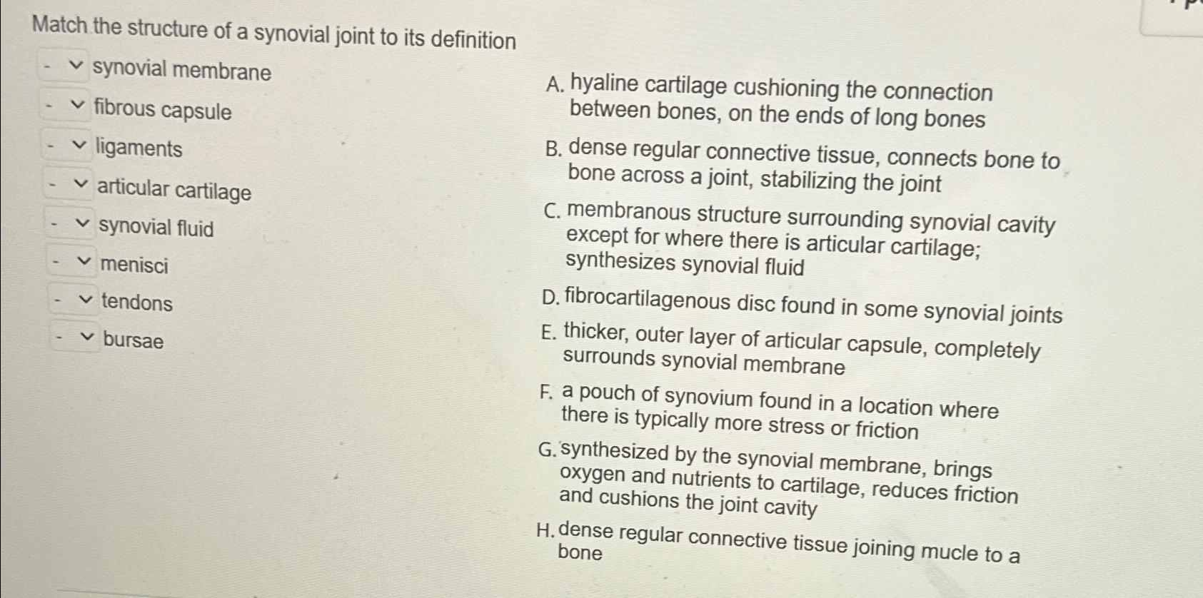 Solved Match the structure of a synovial joint to its | Chegg.com