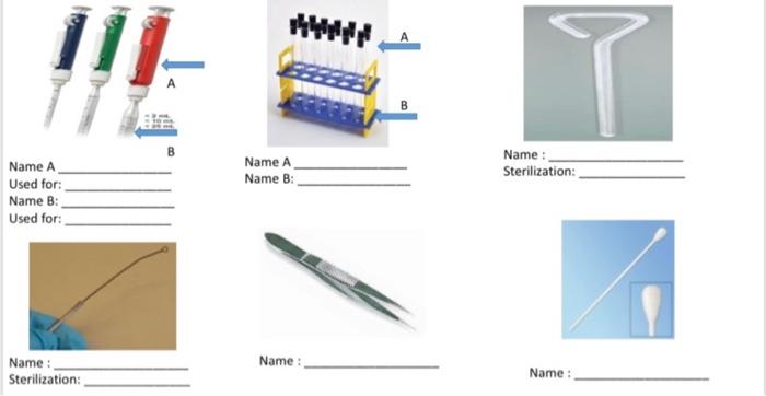 Solved T B Name A Name B: Name: Sterilization: Name A Used | Chegg.com