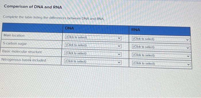 Solved Comparison of DNA and RNA Complete the table listing | Chegg.com
