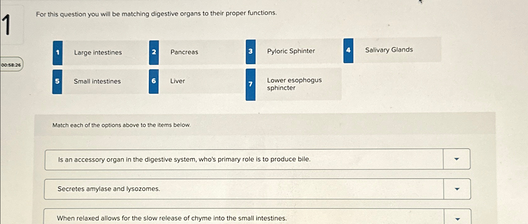 Solved For this question you will be matching digestive | Chegg.com