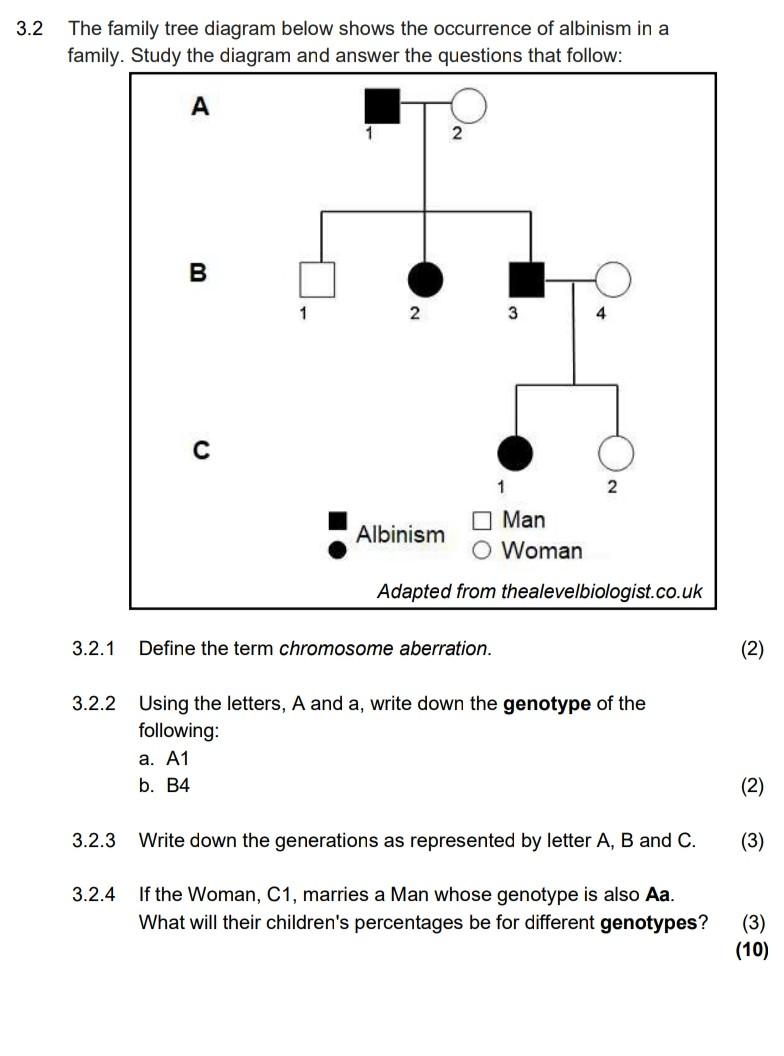 Solved 3.2 The family tree diagram below shows the | Chegg.com
