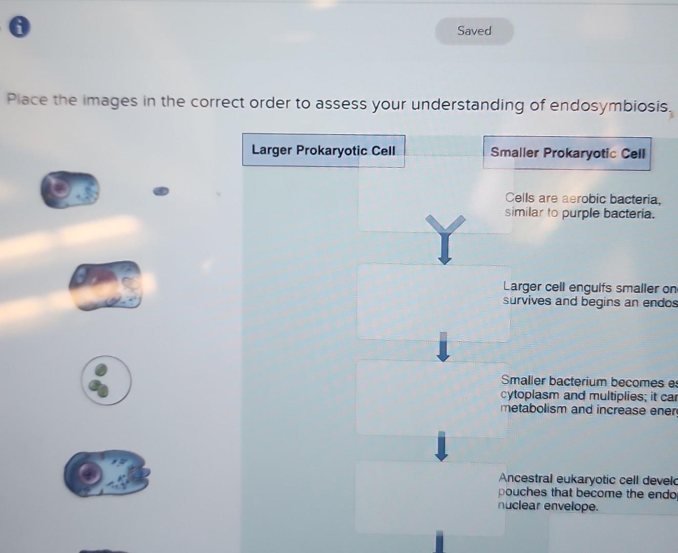 Solved Place the images in the correct order to assess your | Chegg.com