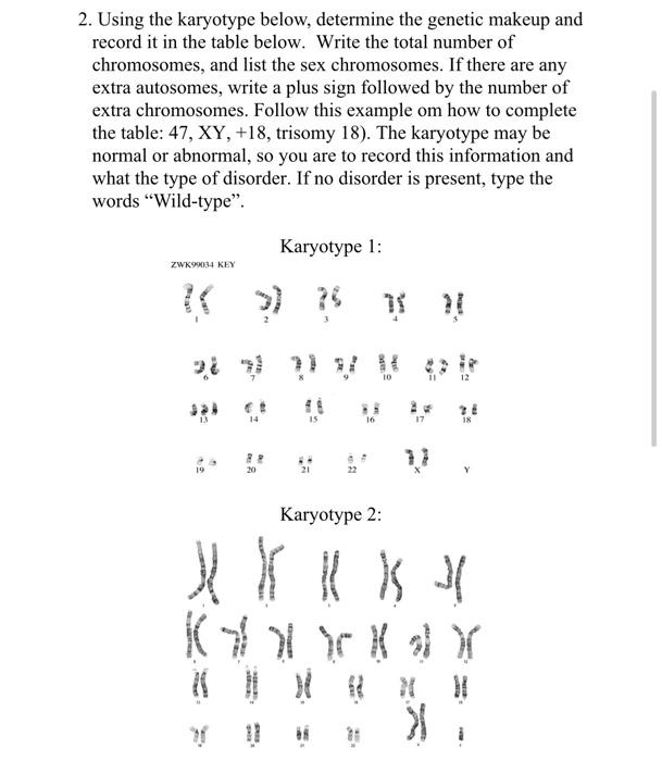 2. Using the karyotype below, determine the genetic | Chegg.com
