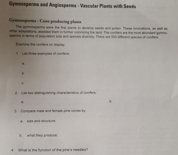 Solved Gymnosperms and Angiosperms - Vascular Plants with | Chegg.com