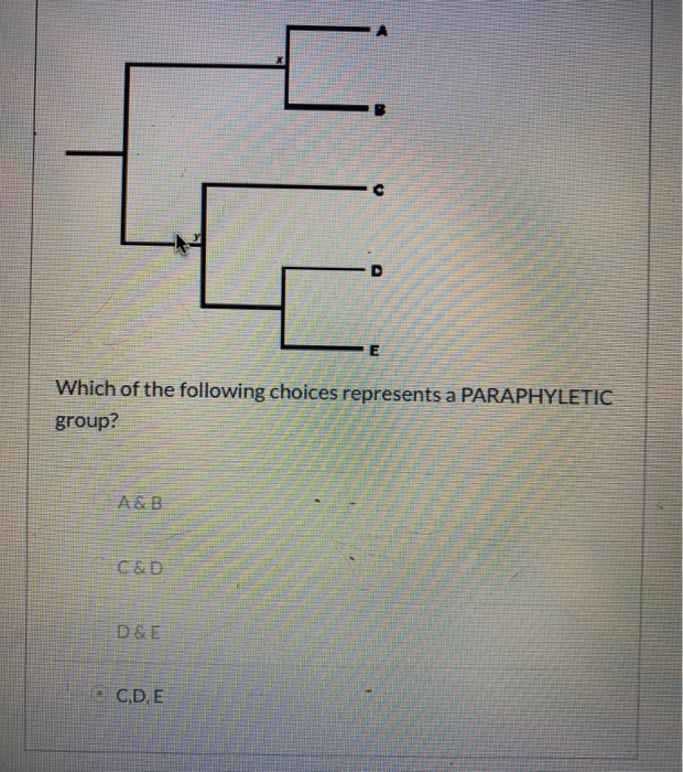 Solved 14 Which of the following choices represents a | Chegg.com