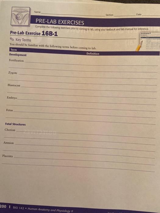 Solved Name Section Date PRE-LAB EXERCISES Complete the | Chegg.com