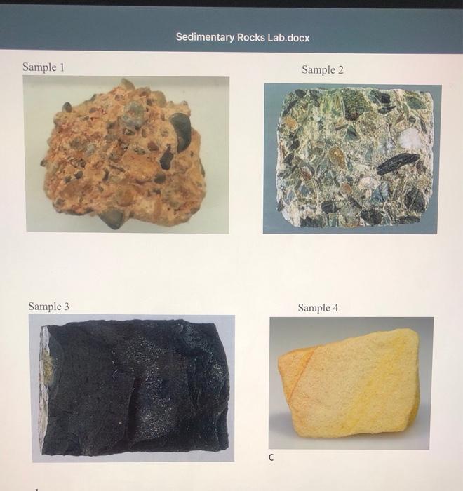 Solved Sedimentary Rocks Lab.docx Sample 1 Sample 2 Sample 3 | Chegg.com