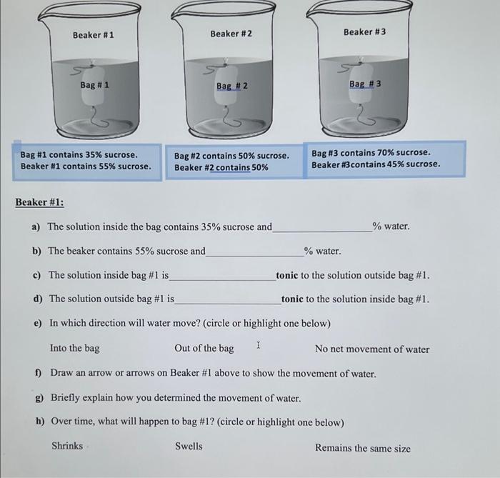 Solved Beaker #1 Beaker #1: Bag #1 Bag #1 contains 35% | Chegg.com