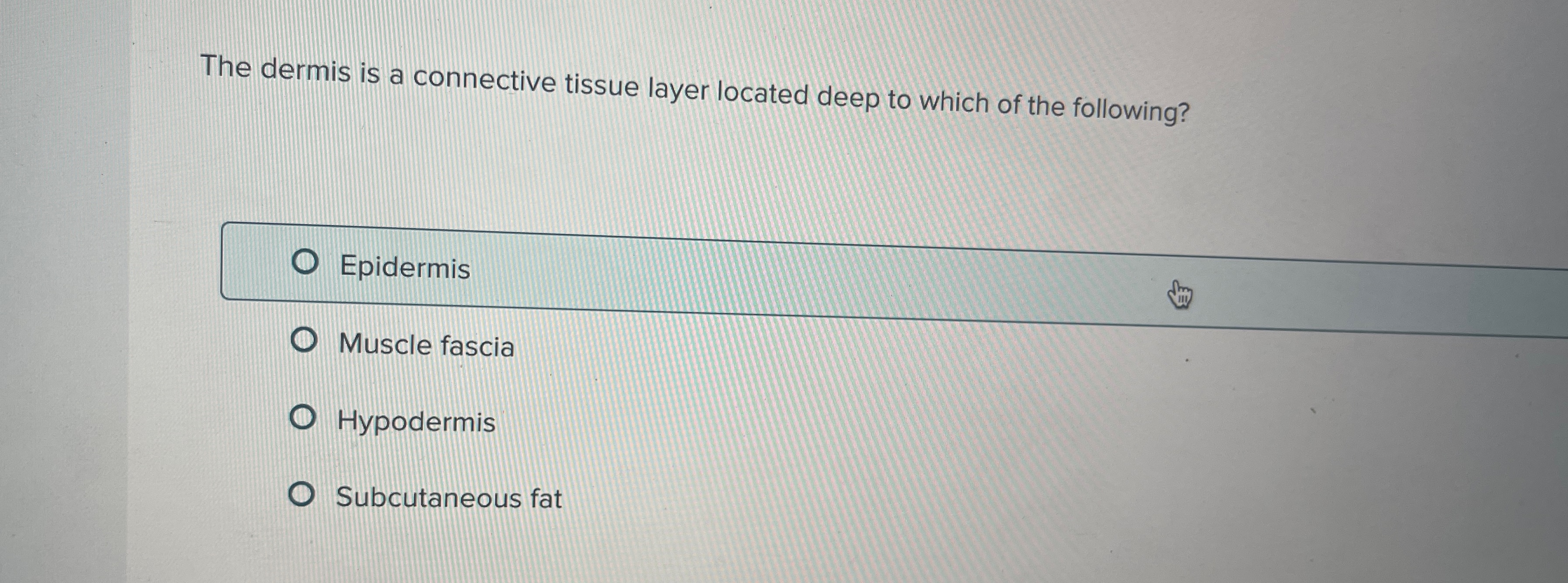 Solved The dermis is a connective tissue layer located deep | Chegg.com
