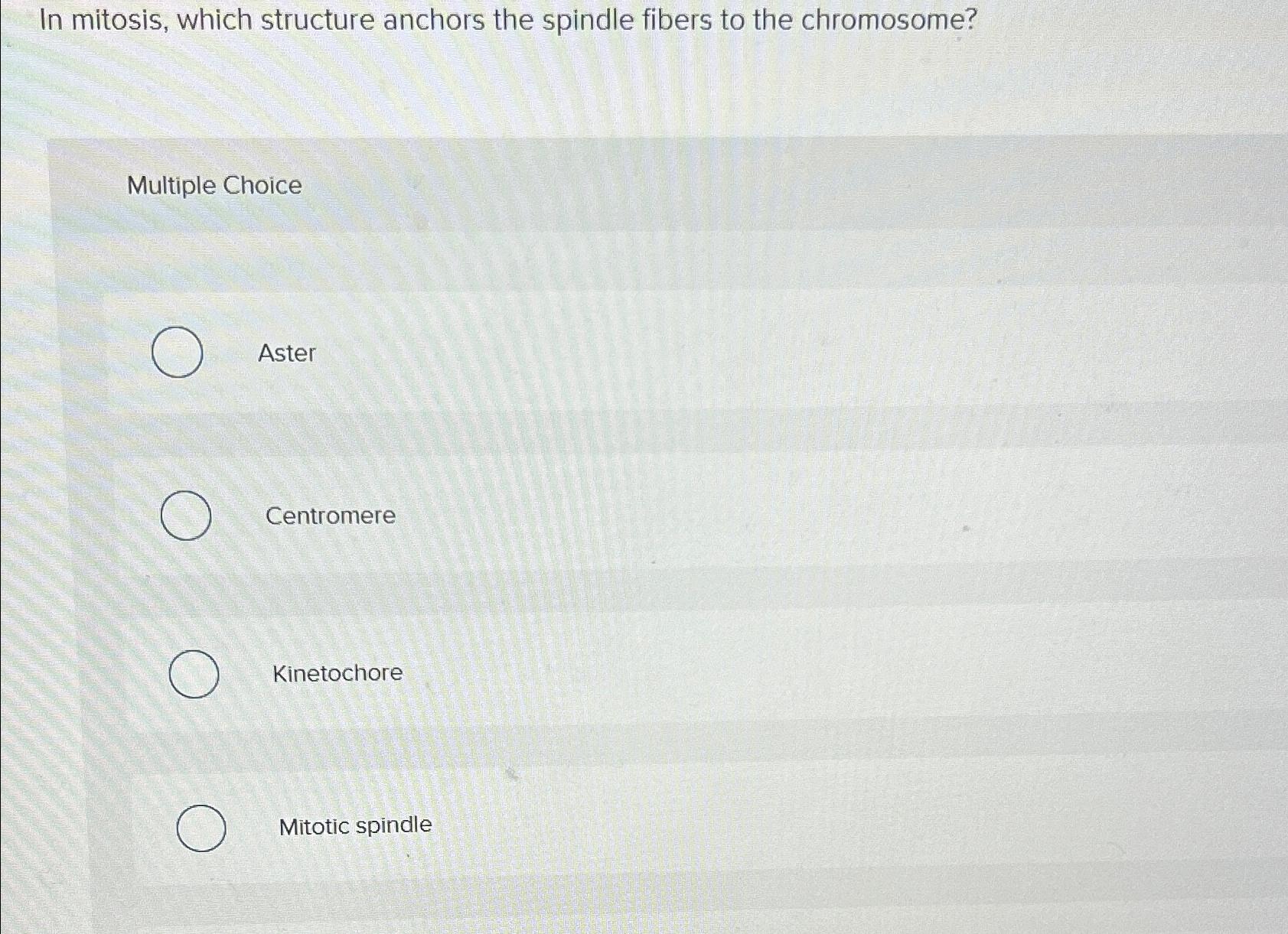 Solved In mitosis, which structure anchors the spindle | Chegg.com