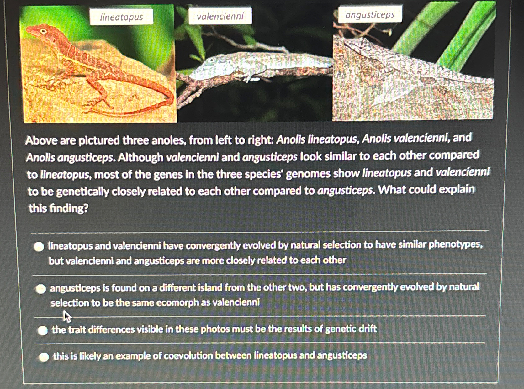 Solved Above are pictured three anoles, from left to right: | Chegg.com