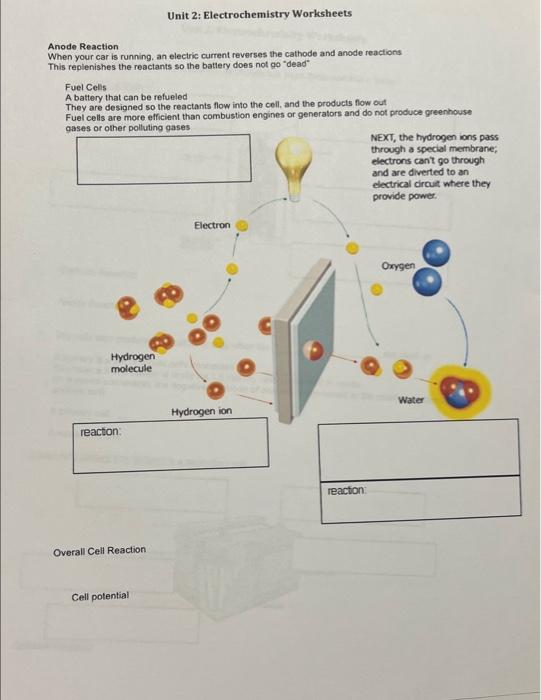 Solved Anode Reaction | Chegg.com
