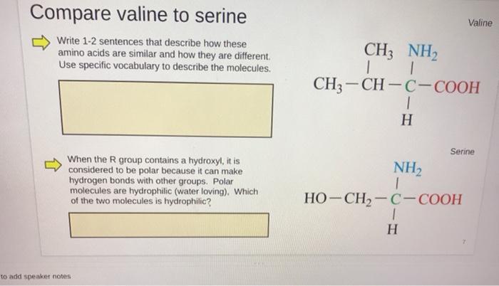 Solved Compare valine to serine Valine Write 1-2 sentences | Chegg.com