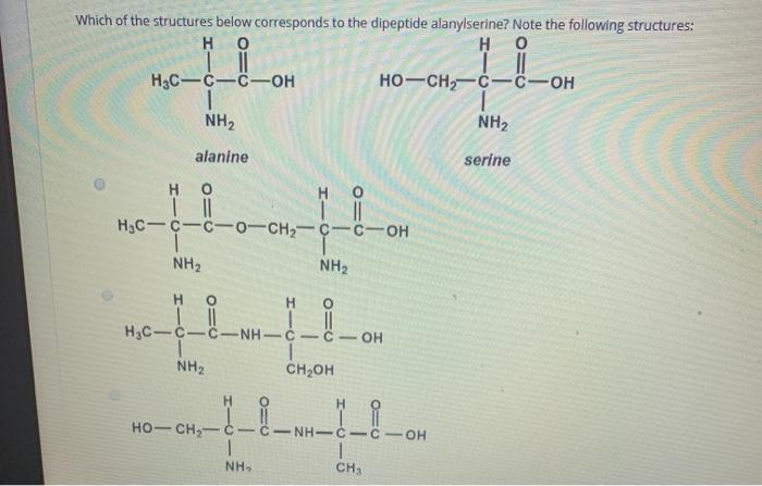 Solved Which of the structures below corresponds to the | Chegg.com