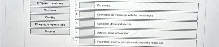 Solved Track the terms on the left to the appropriate link | Chegg.com