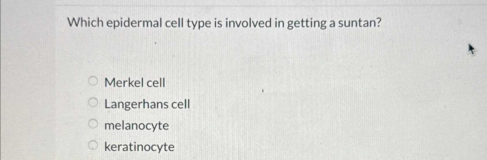 Solved Which epidermal cell type is involved in getting a | Chegg.com