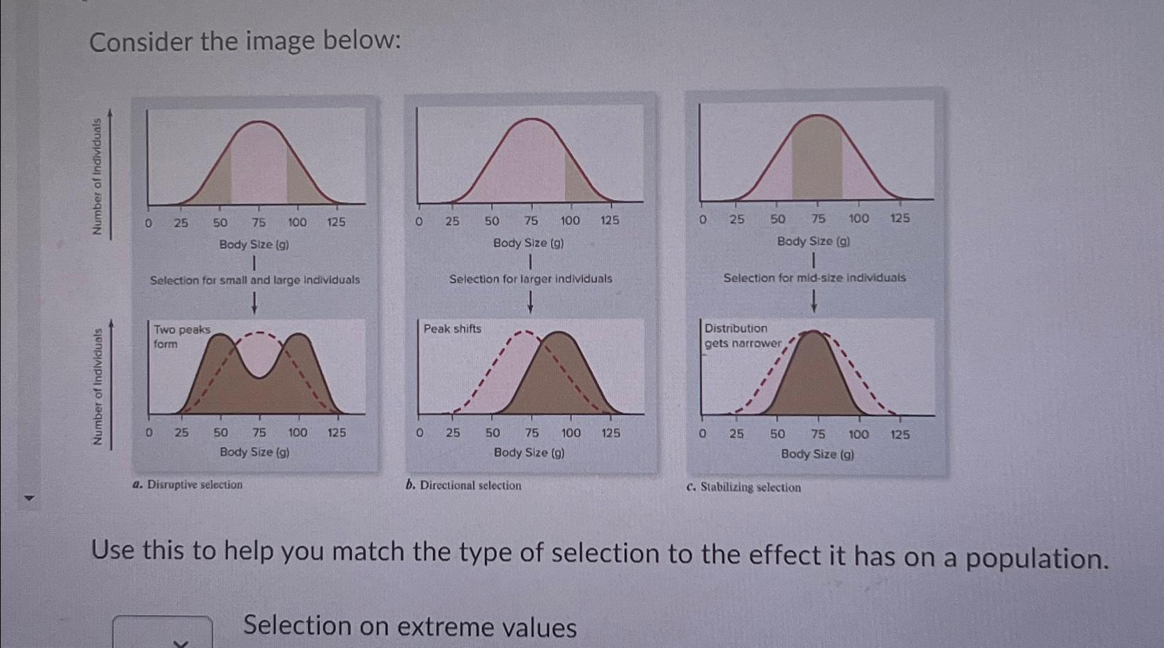 Consider the image below:a. ﻿Disruptive selectionb. | Chegg.com