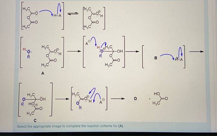 Solved Chemistry Drawing Question: Reaction Mechanism The | Chegg.com