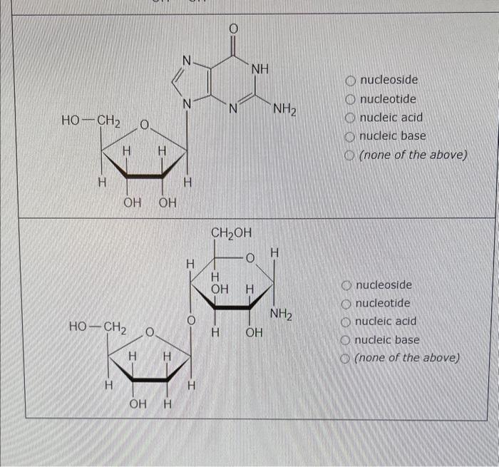 Solved Classify each molecule: nucleoside nucleotide | Chegg.com