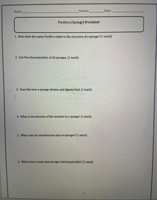 Solved Name: _Section: Date: Porifera (Sponge) Worksheet 1. | Chegg.com