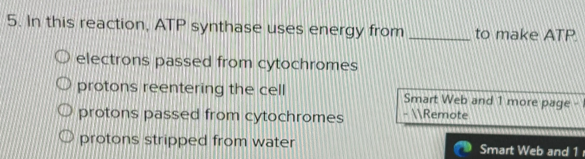 Solved In this reaction, ATP synthase uses energy from to | Chegg.com