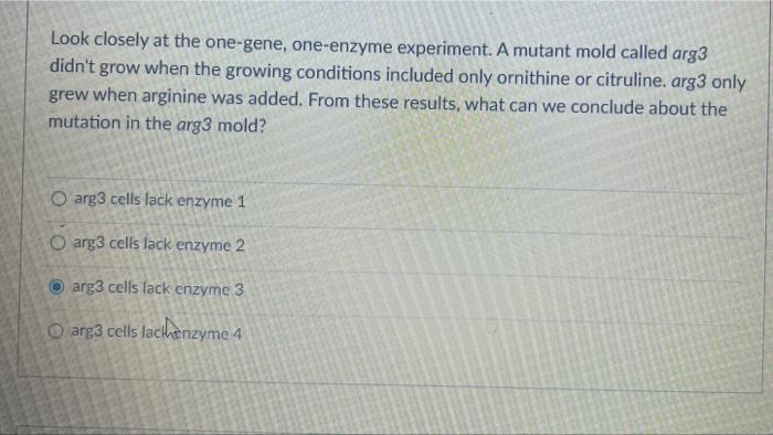 Solved Look closely at the one-gene, one-enzyme experiment. | Chegg.com