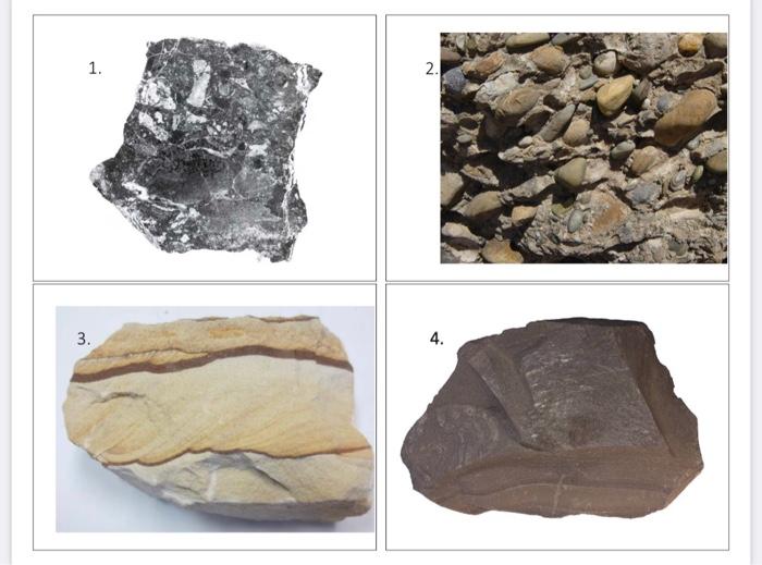 Solved Sedimentary Rock Classification Scheme 1. Texture | Chegg.com