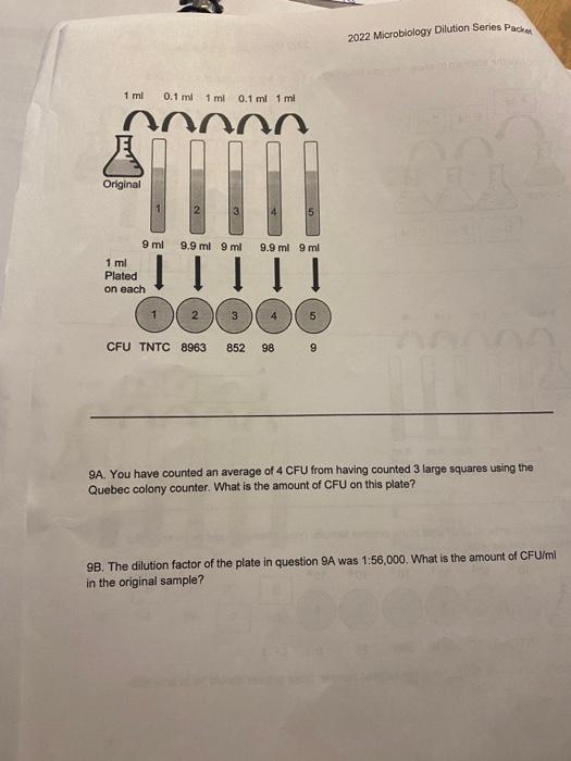 Solved 1.7il 0.1ml1ml1ml1ml A. 10−1 B. 10−3 | Chegg.com