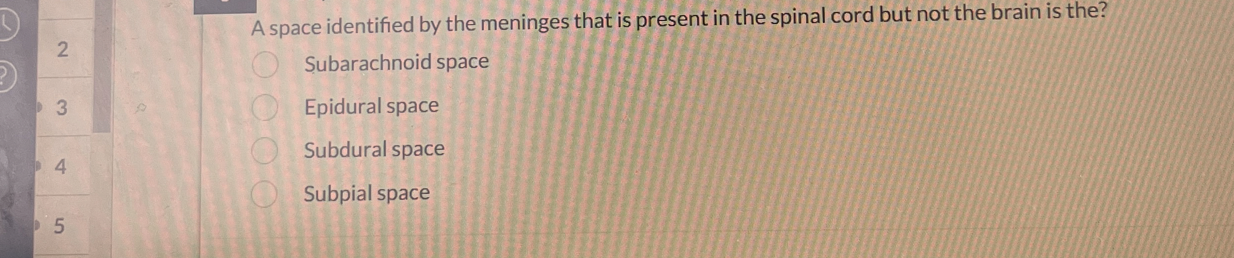 Solved 2A space identified by the meninges that is present | Chegg.com