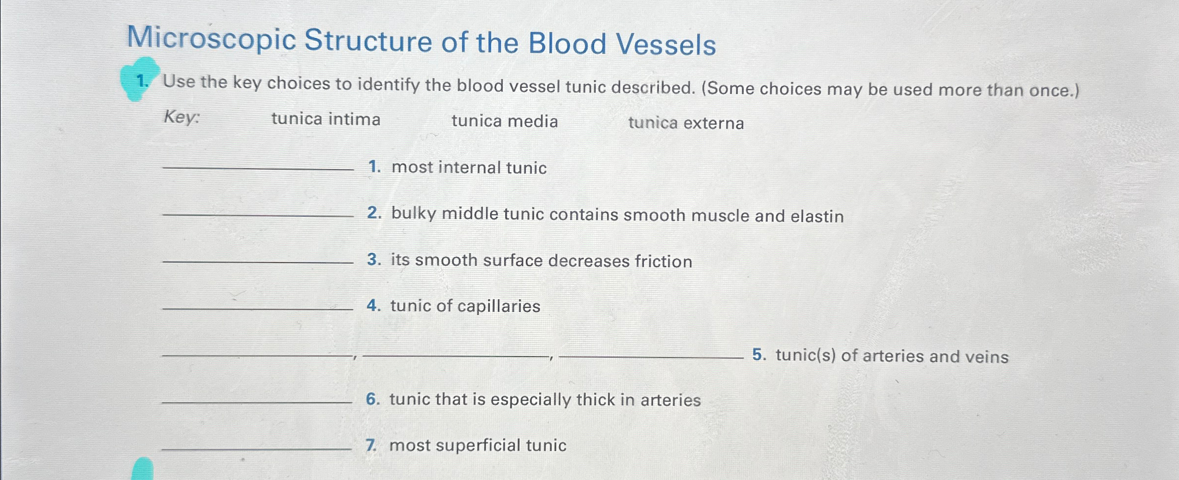 Solved Microscopic Structure of the Blood VesselsUse the key | Chegg.com