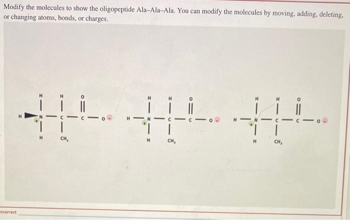 Solved Modify the molecules to show the oligopeptide | Chegg.com