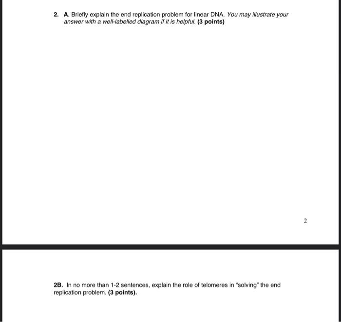 Solved 2. A. Briefly explain the end replication problem for | Chegg.com