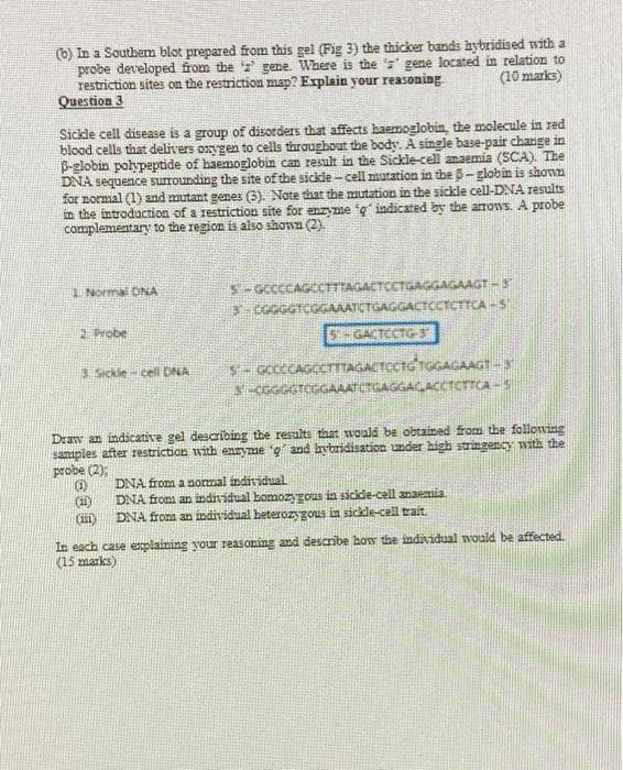 Ostie Quel (a) Therapa testes for rent mean the wild | Chegg.com